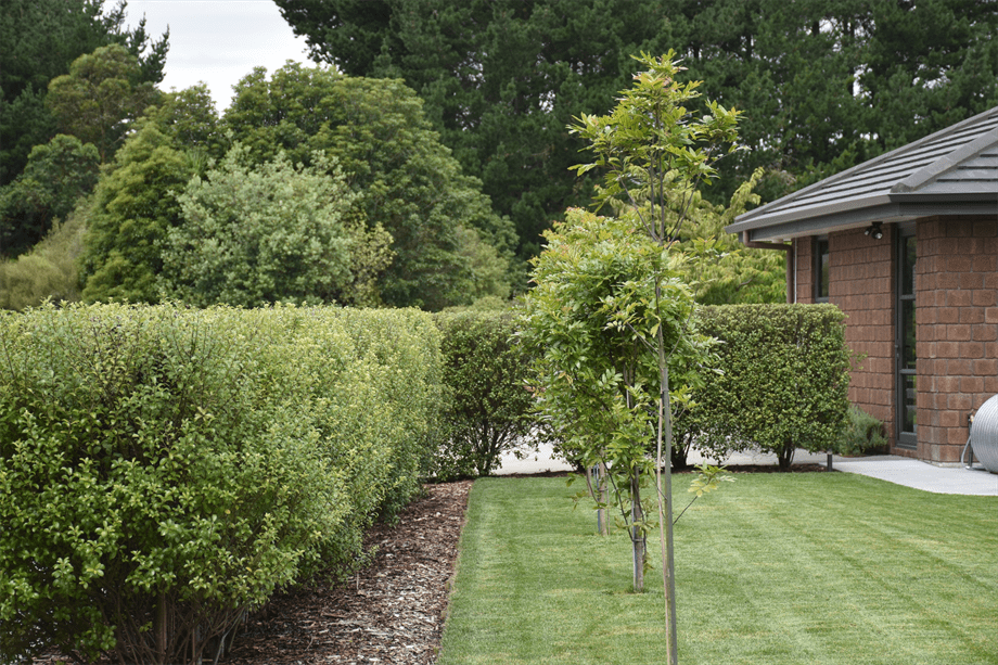 Greenstone Property Solutions