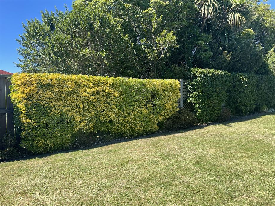 Greenstone Property Solutions