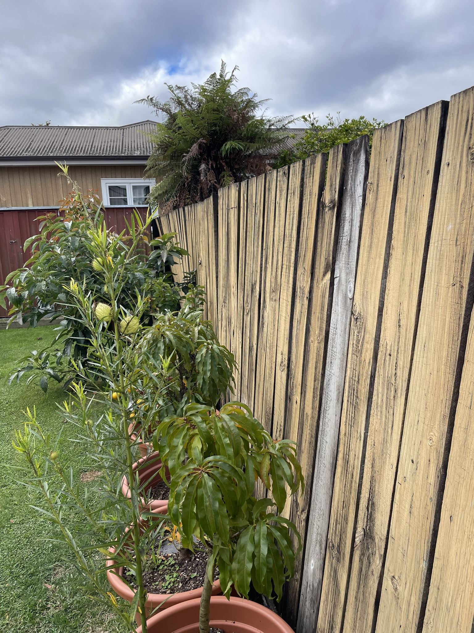 Fence and gate repair services