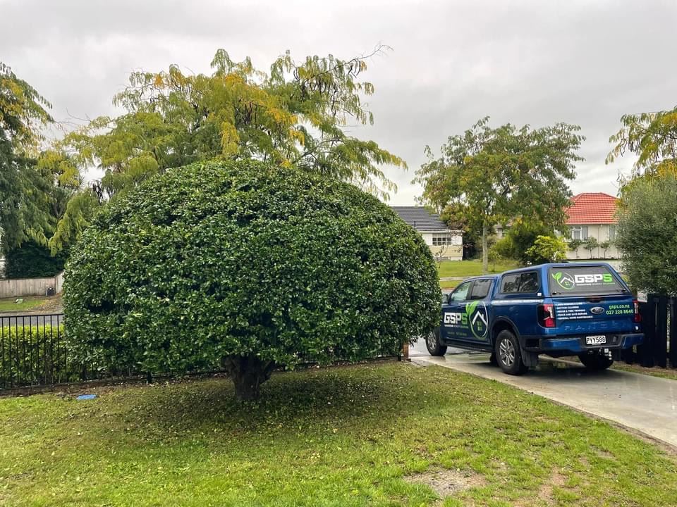 Hedge and tree trimming from Greenstone Property Solutions