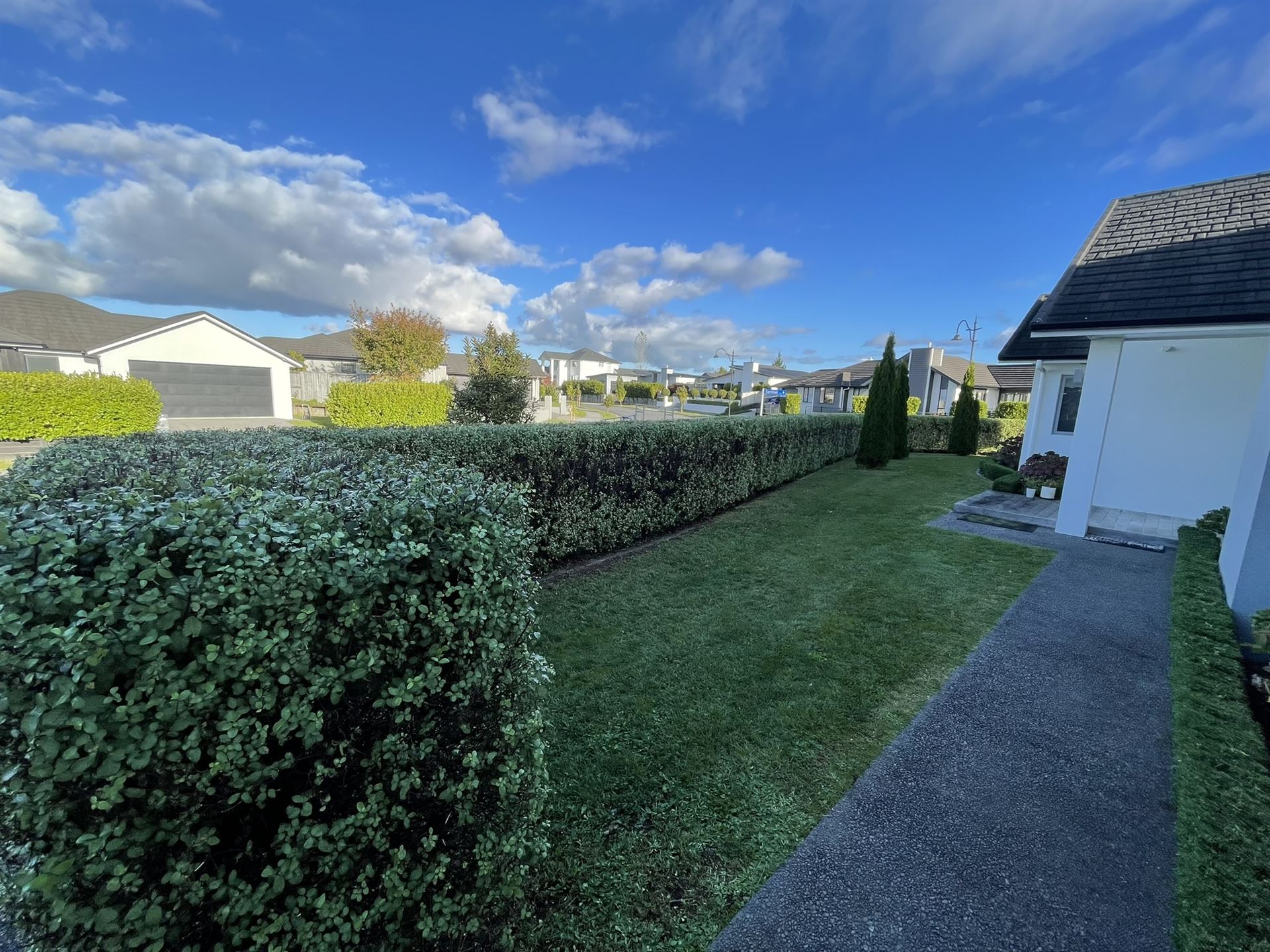 Hedge and tree trimming from Greenstone Property Solutions