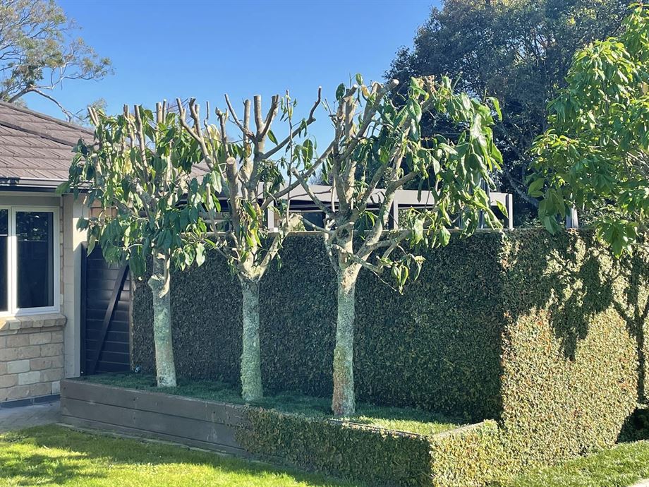 Services from Greenstone Property Solutions